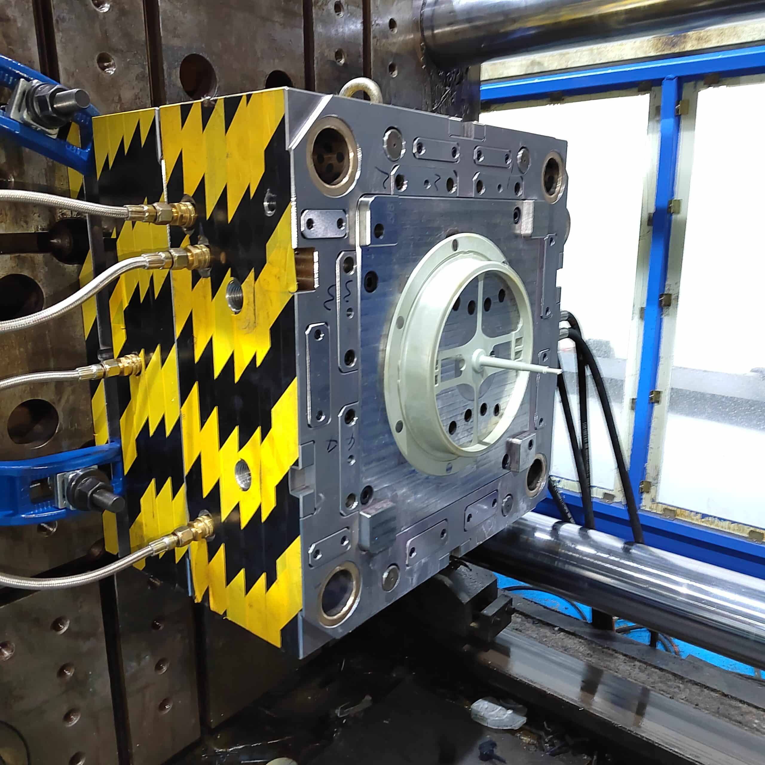 Successful T1 Mold Sampling - winwinmold.com